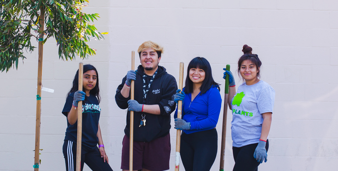 City Plants – Get Free Trees!