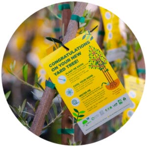 City Plants – Get Free Trees!