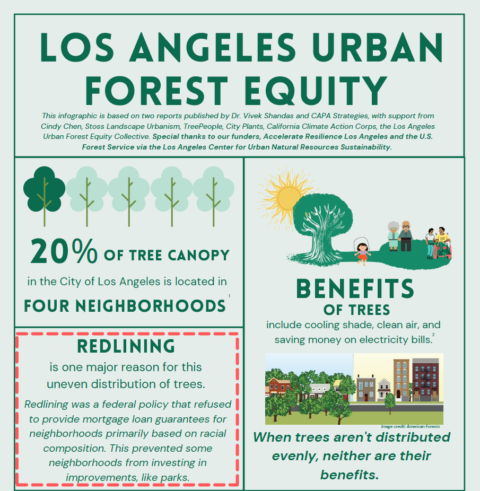 City Plants Urban Forest Equity Collective