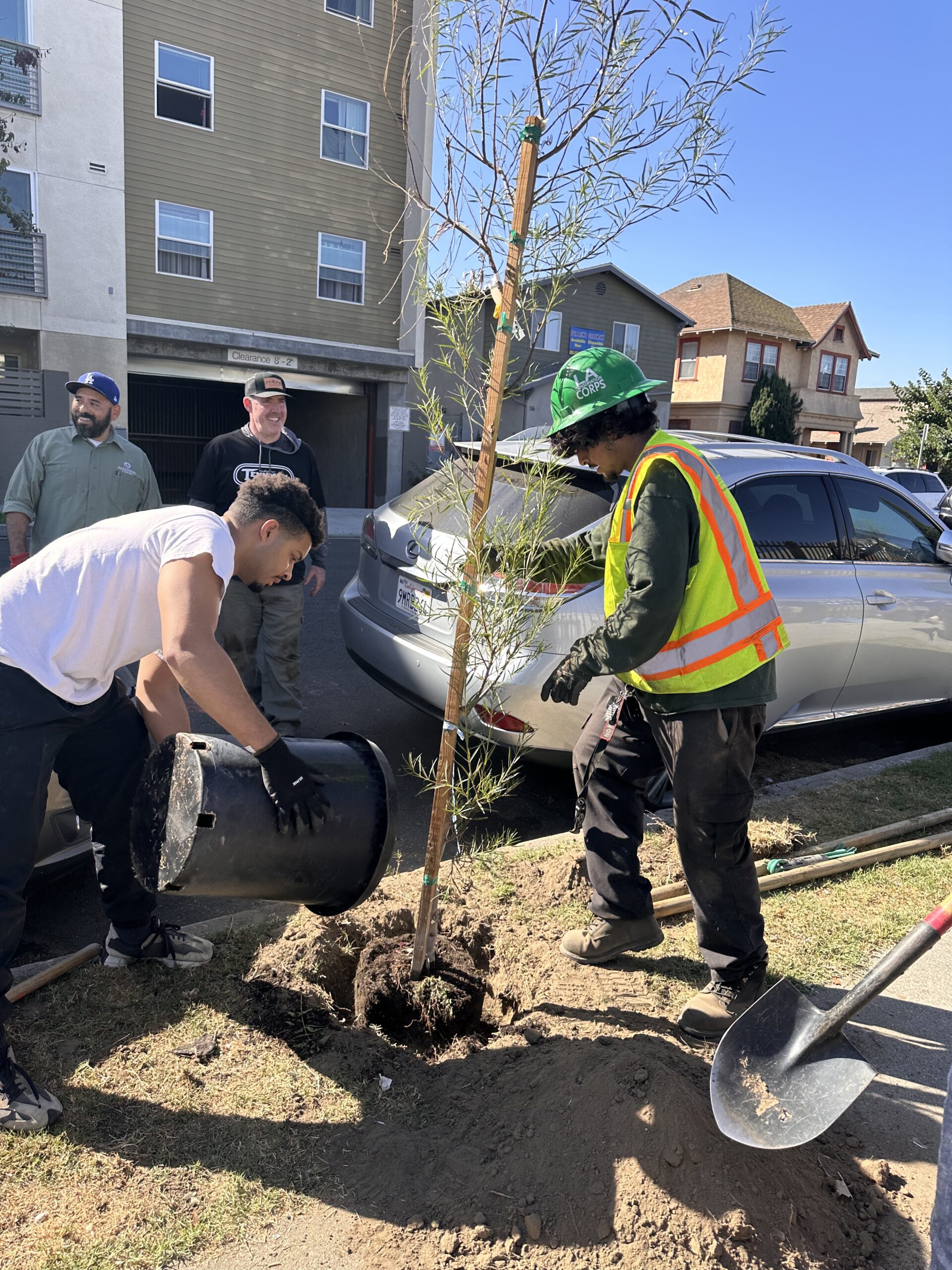 City Plants | Our Story